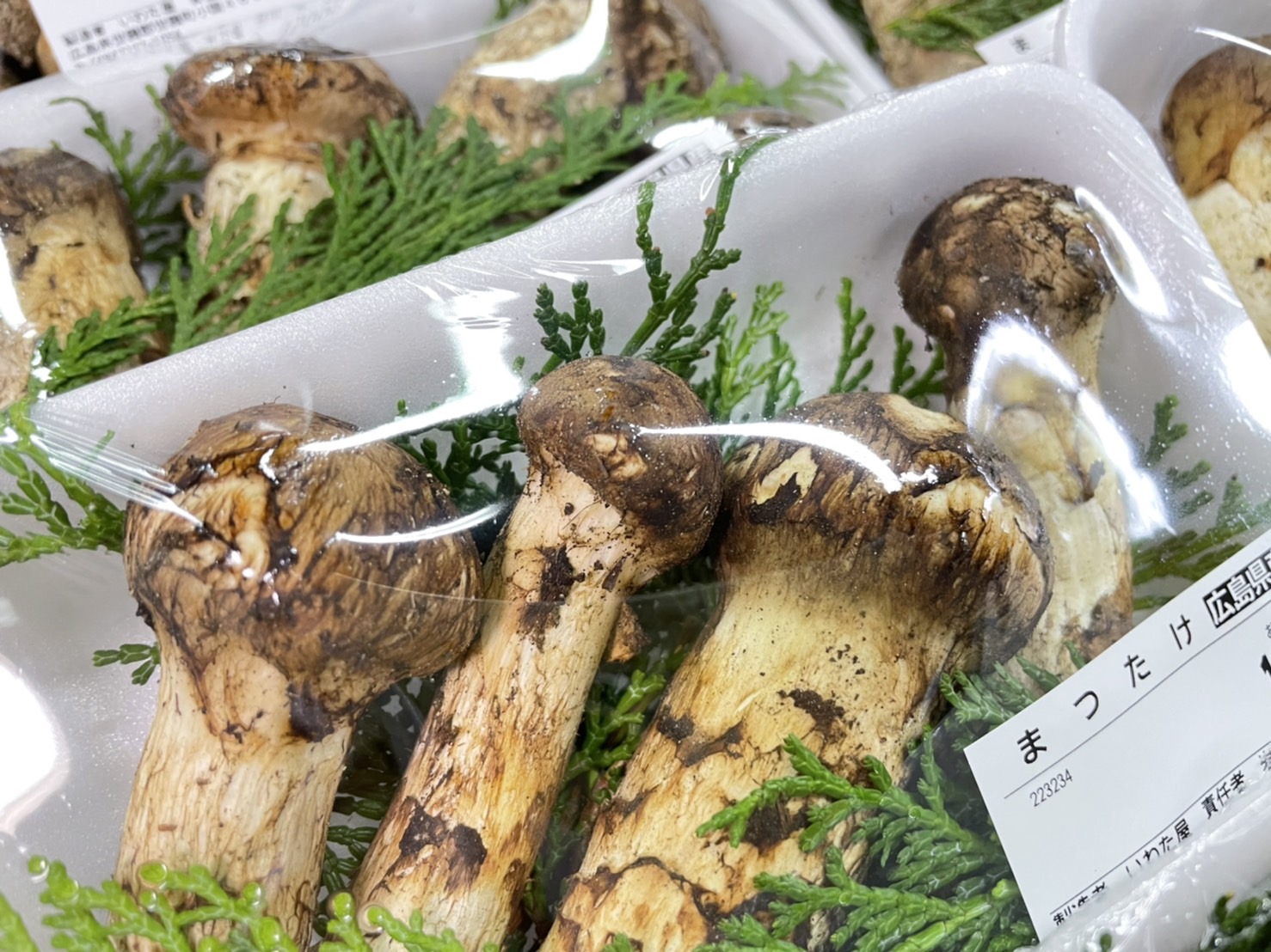 よがんす産直市場便り 松茸出ました!! | YOGANSU