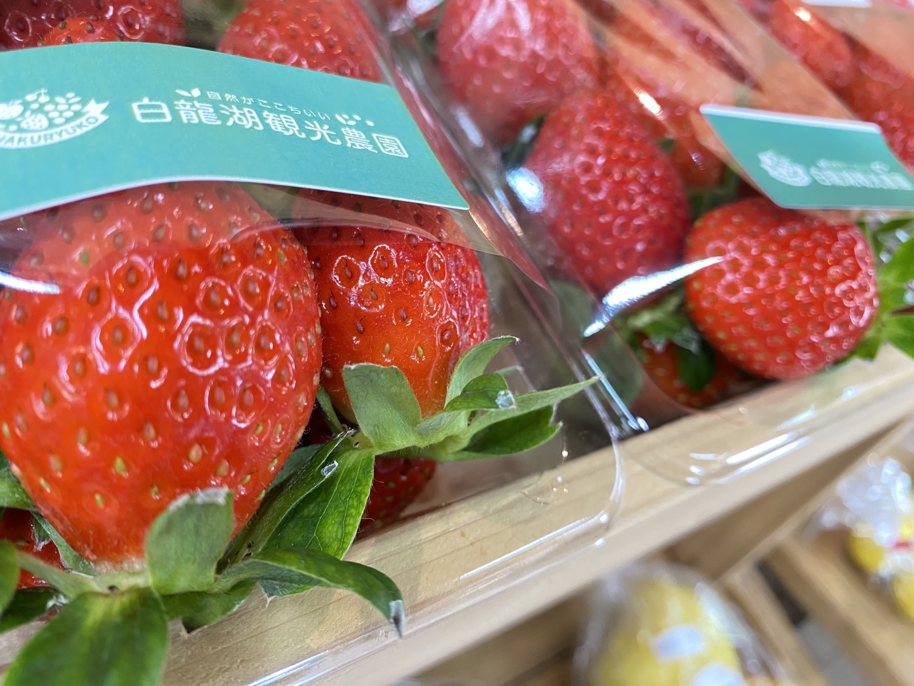 深まる秋… | YOGANSU