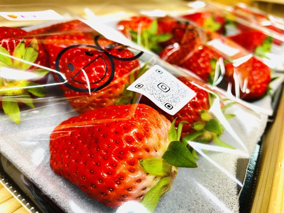 今日は立春 雪の朝 | YOGANSU