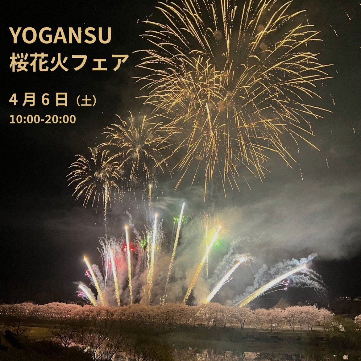 『YOGANSU桜花火フェア』開催🌸 | YOGANSU