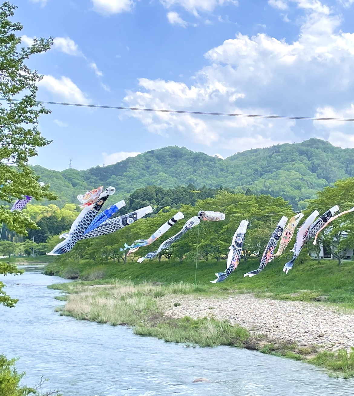 雨のGW最終日 | YOGANSU