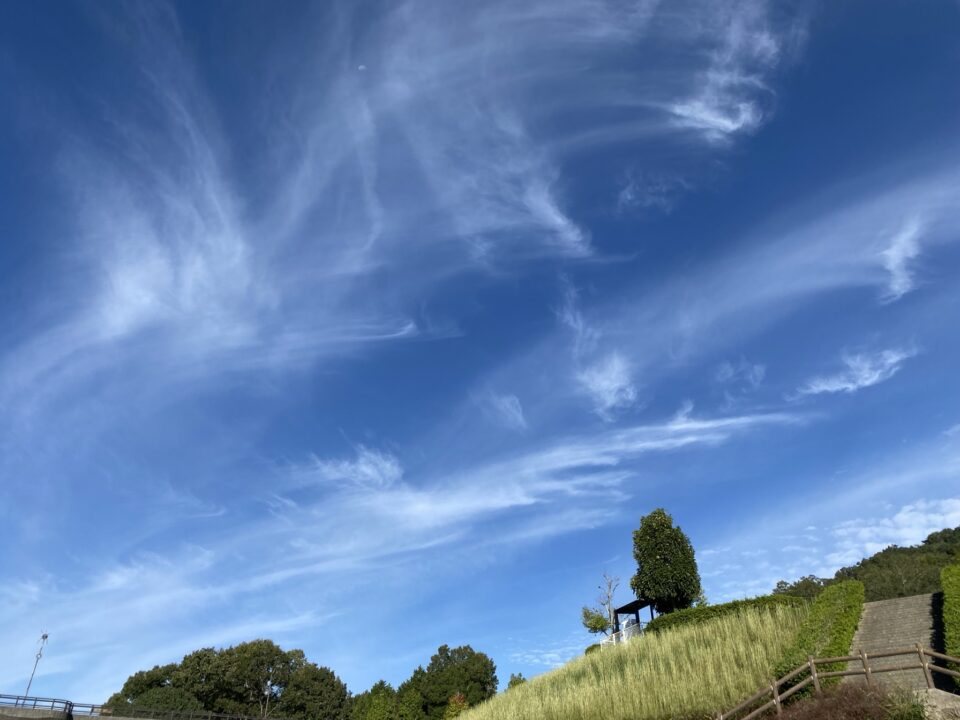 今朝のよがんす白竜 | YOGANSU