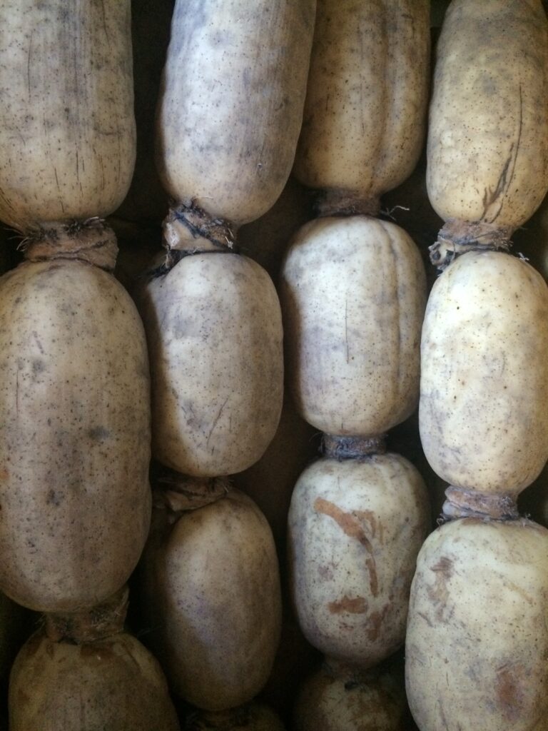 出張よがんすのおしらせ そごう広島店 | YOGANSU