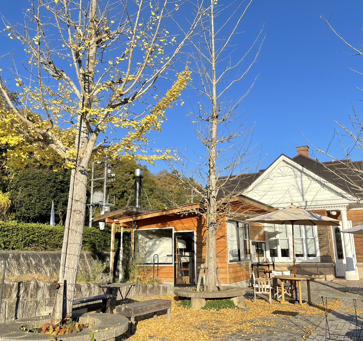 定休日のおしらせ | YOGANSU