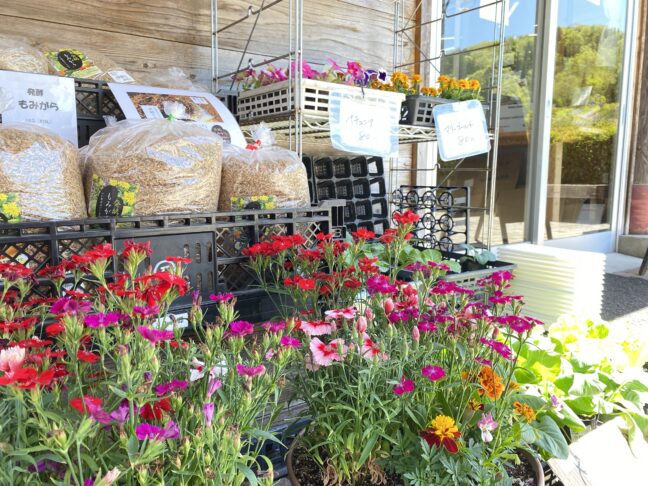 春の味覚いろいろ よがんす産直市場便り | YOGANSU